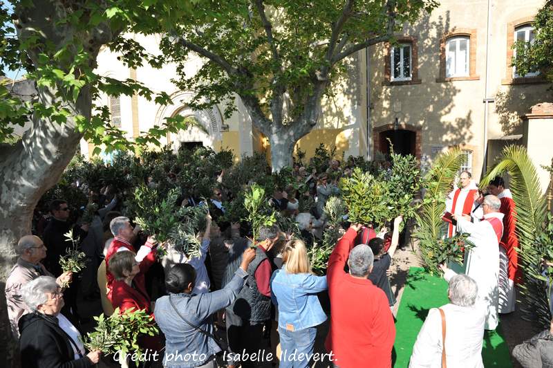 Les rameaux : une fête à vivre des racines aux feuilles ! – VOCATION ...